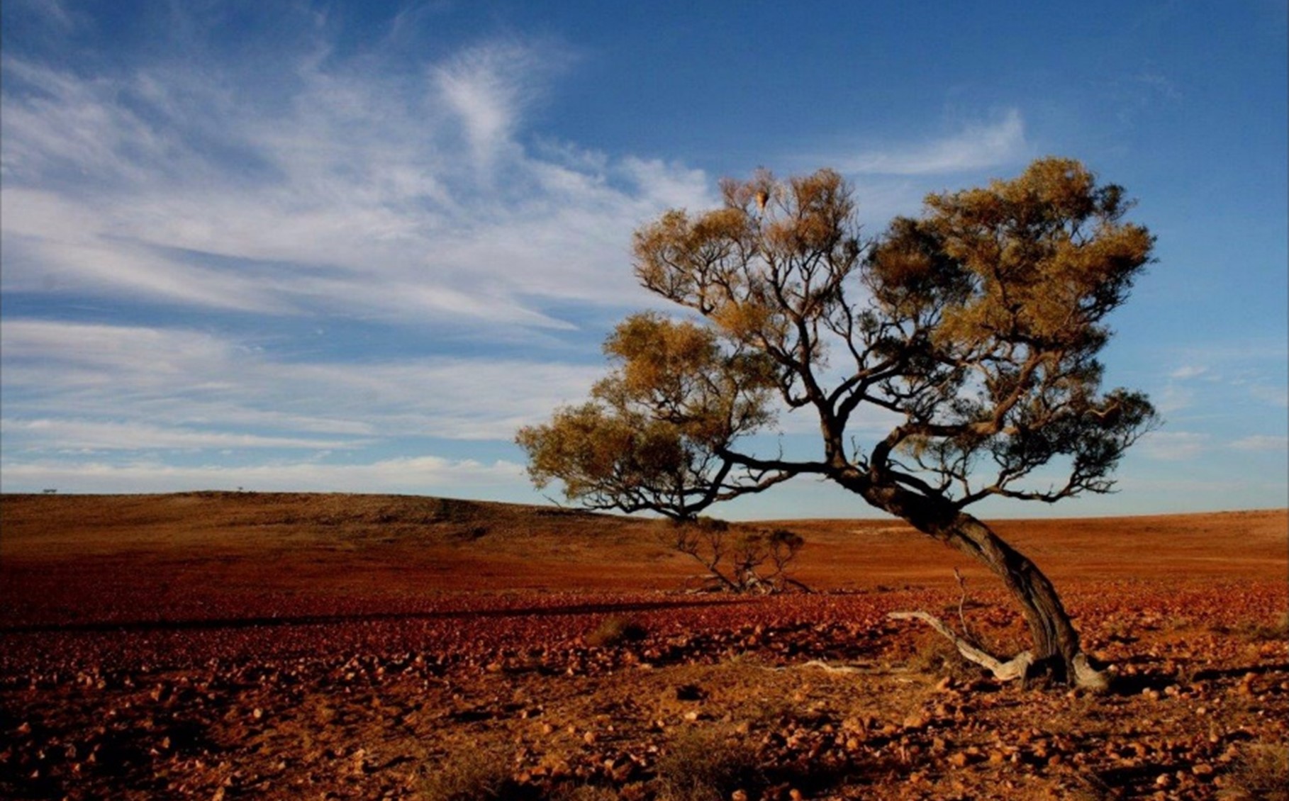 Day, Extended & Concert Tours | Bundaberg Coaches