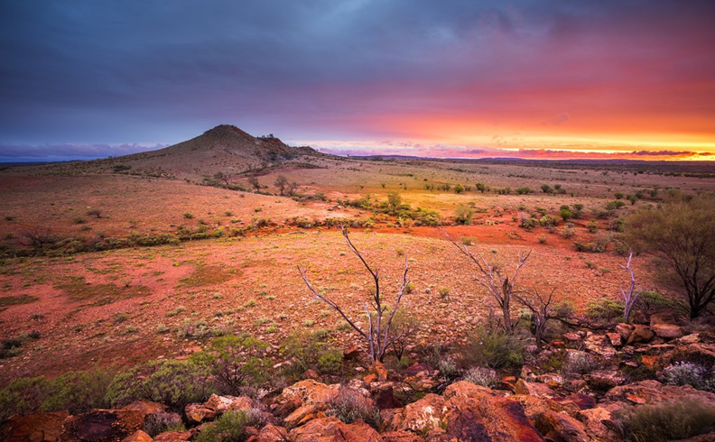Day, Extended & Concert Tours | Bundaberg Coaches