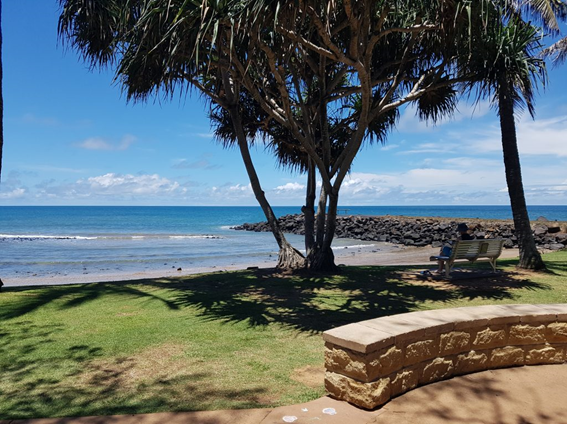 Day, Extended & Concert Tours | Bundaberg Coaches