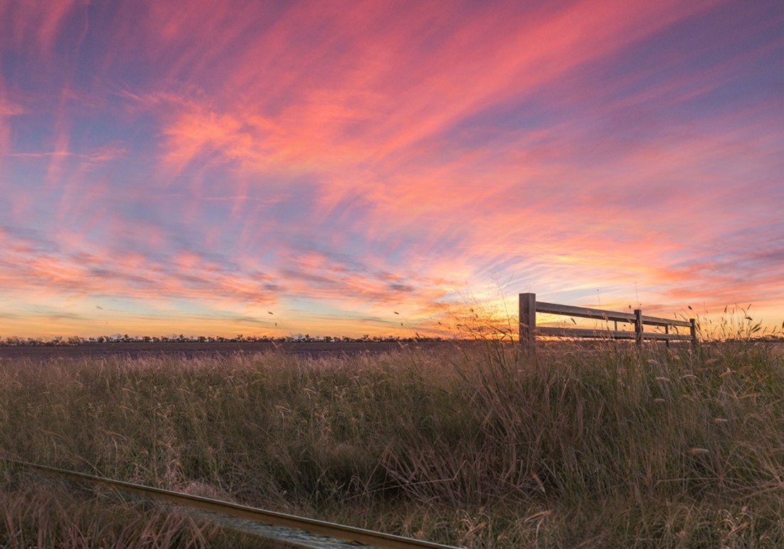 Dubbo Christmas Adventure - 21st December 2025 | Bundaberg Coaches