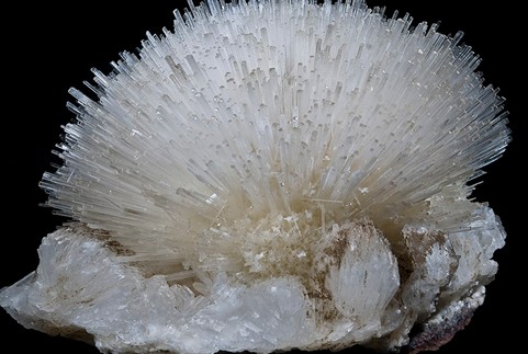 Dubbo Christmas Adventure - 21st December 2025 | Bundaberg Coaches