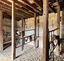 Dubbo Christmas Adventure - 21st December 2025 | Bundaberg Coaches